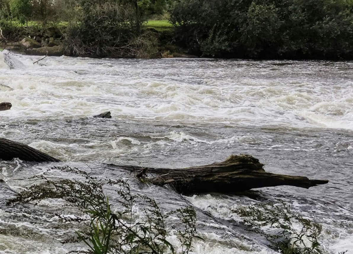 Oxyle: 2025 brengt strengere PFAS-regelgeving en nieuwe rapportage ...
